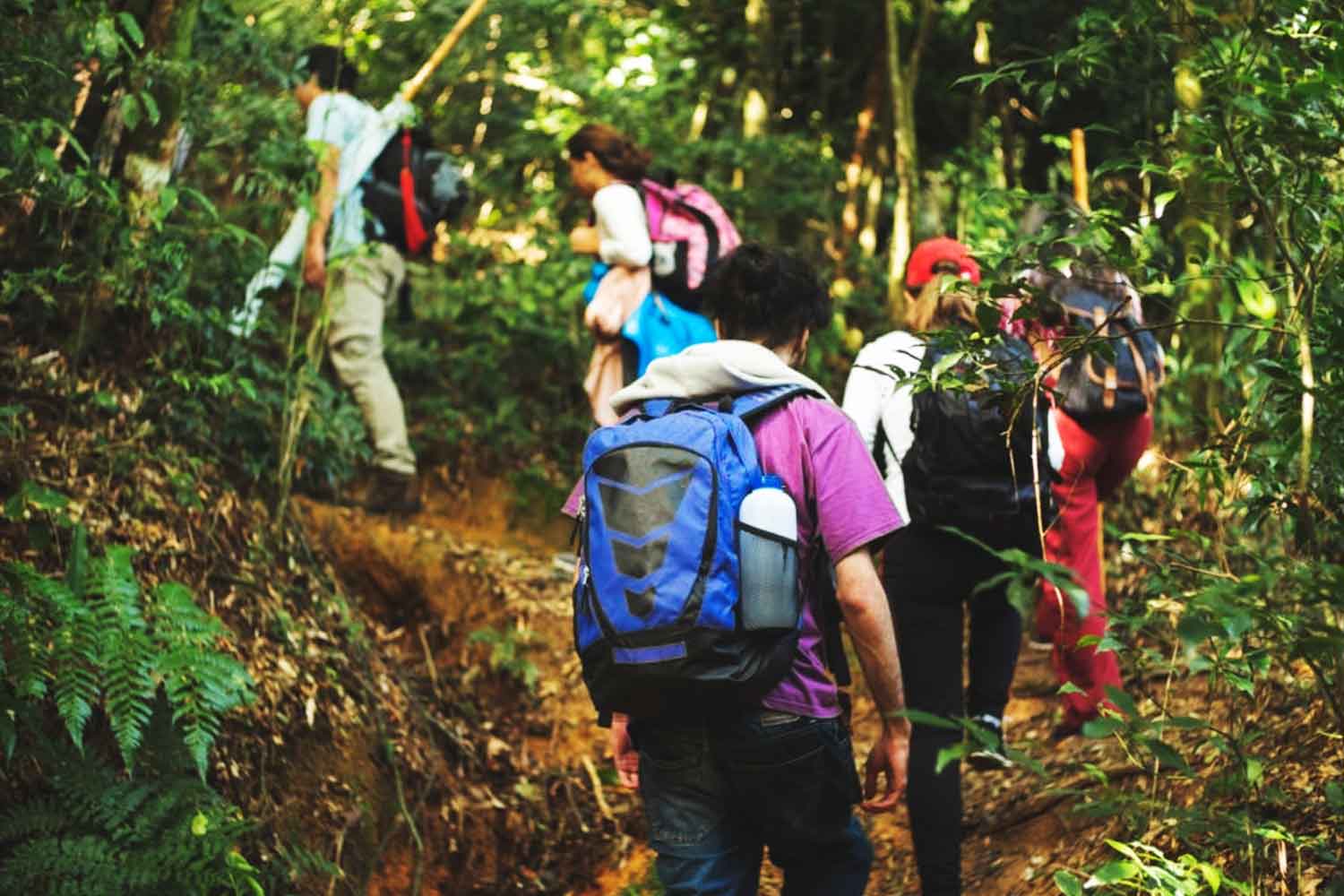Top 15 Things To Do In Jim Corbett National Park